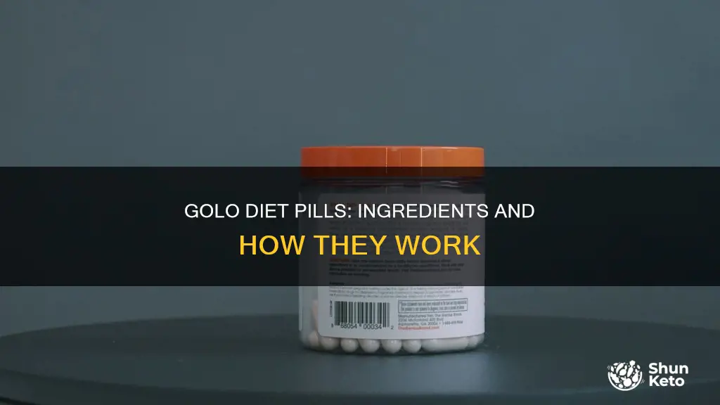 Golo Diet Pills: Ingredients And How They Work | ShunKeto