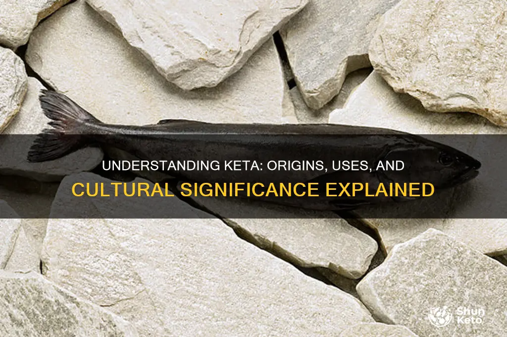 Understanding Keta: Origins, Uses, And Cultural Significance Explained ...