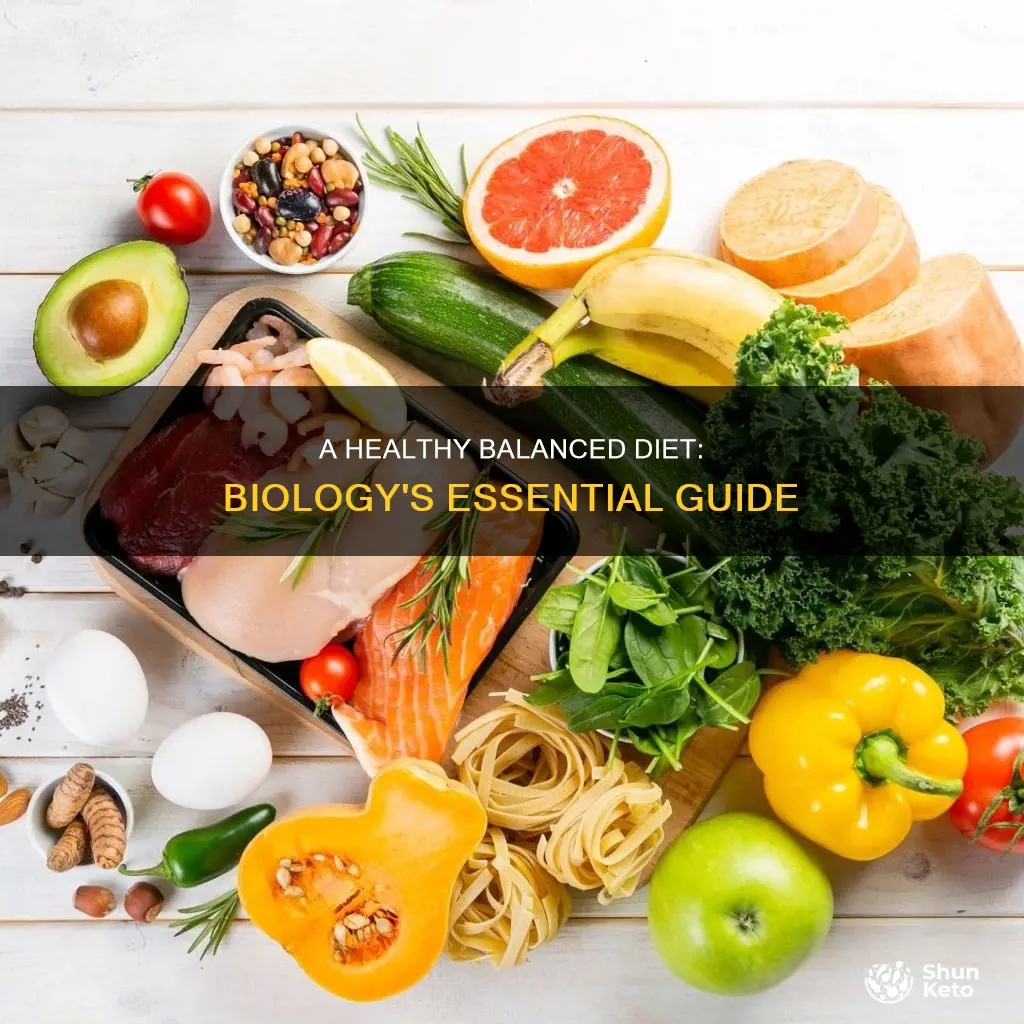 A Healthy Balanced Diet: Biology's Essential Guide | ShunKeto