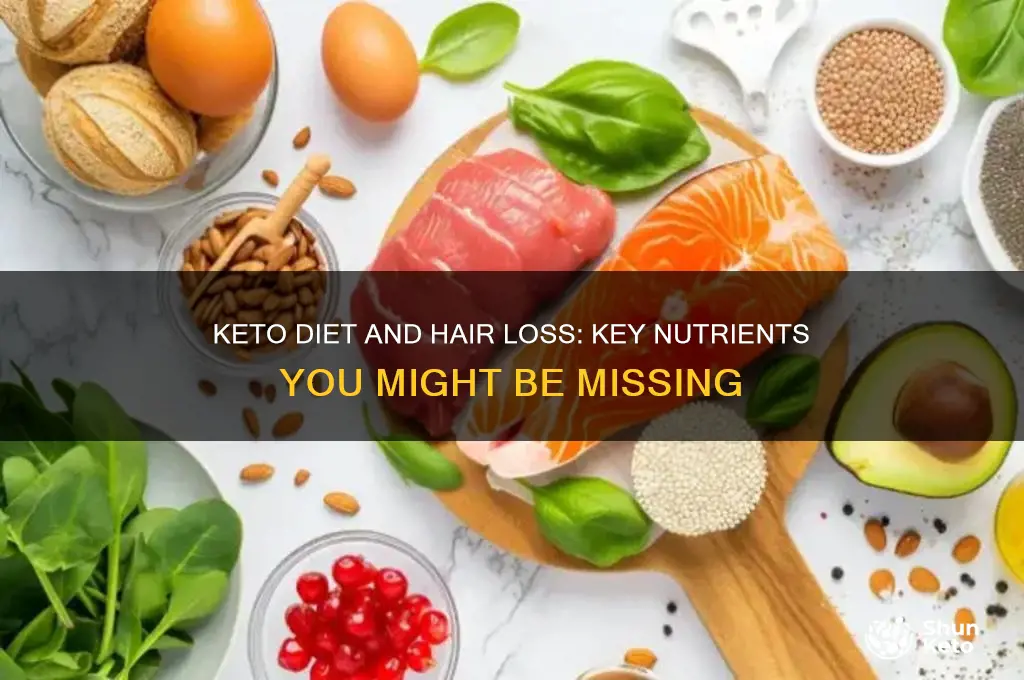 Keto Diet And Hair Loss: Key Nutrients You Might Be Missing | ShunKeto