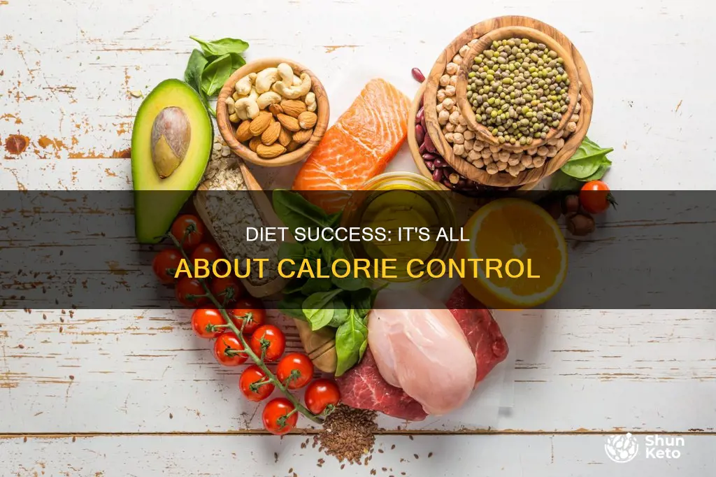 Diet Success: It's All About Calorie Control | ShunKeto