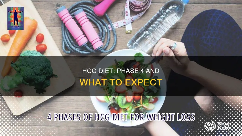 Hcg Diet: Phase 4 And What To Expect | ShunKeto