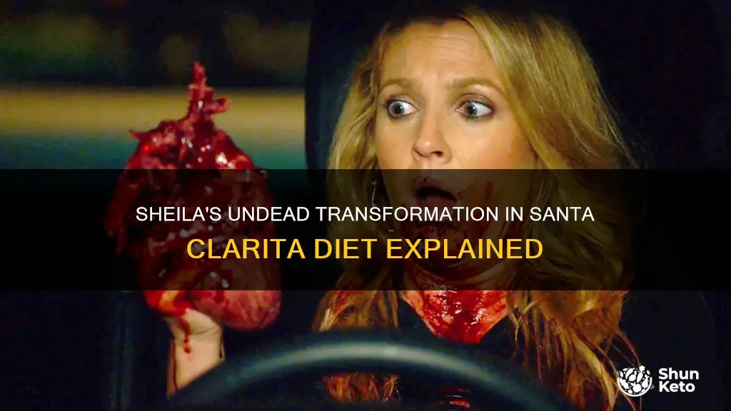 Sheila's Undead Transformation In Santa Clarita Diet Explained | ShunKeto