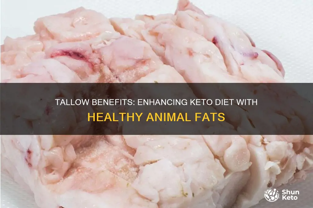 Tallow Benefits: Enhancing Keto Diet With Healthy Animal Fats | ShunKeto