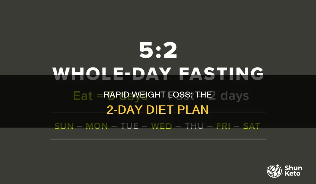 Rapid Weight Loss: The 2-Day Diet Plan | ShunKeto