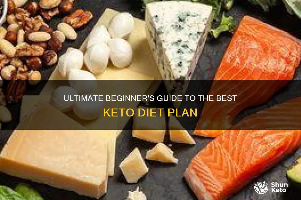 Ultimate Beginner's Guide To The Best Keto Diet Plan | ShunKeto