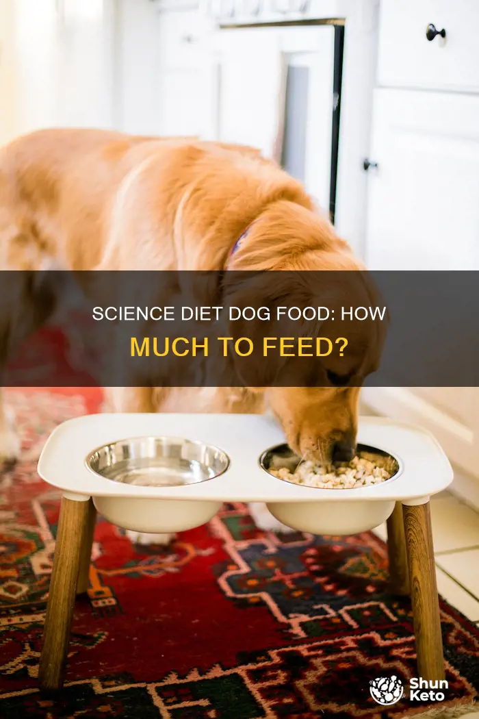 Science Diet Dog Food: How Much To Feed? | ShunKeto
