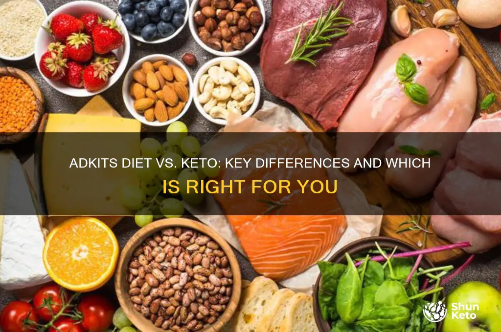 Adkits Diet Vs. Keto: Key Differences And Which Is Right For You | ShunKeto