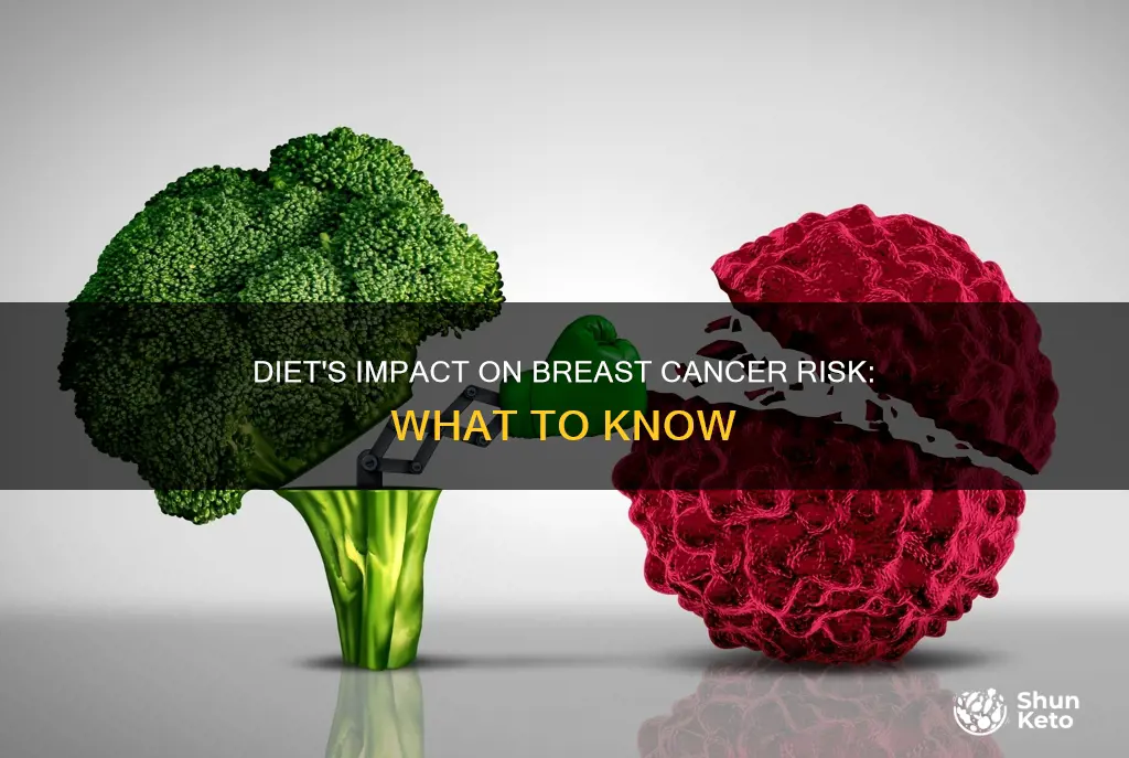 Diet's Impact On Breast Cancer Risk: What To Know | ShunKeto