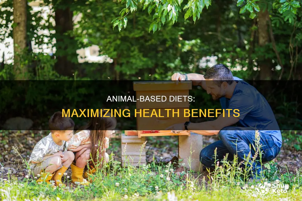Animal-Based Diets: Maximizing Health Benefits | ShunKeto