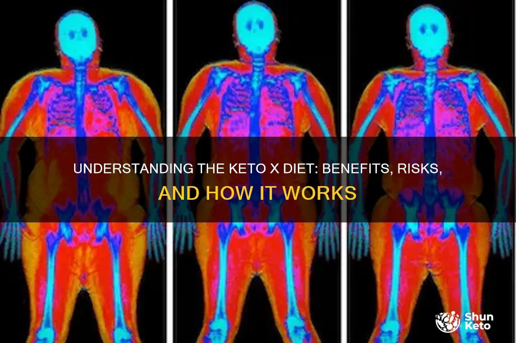 Understanding The Keto X Diet: Benefits, Risks, And How It Works | ShunKeto