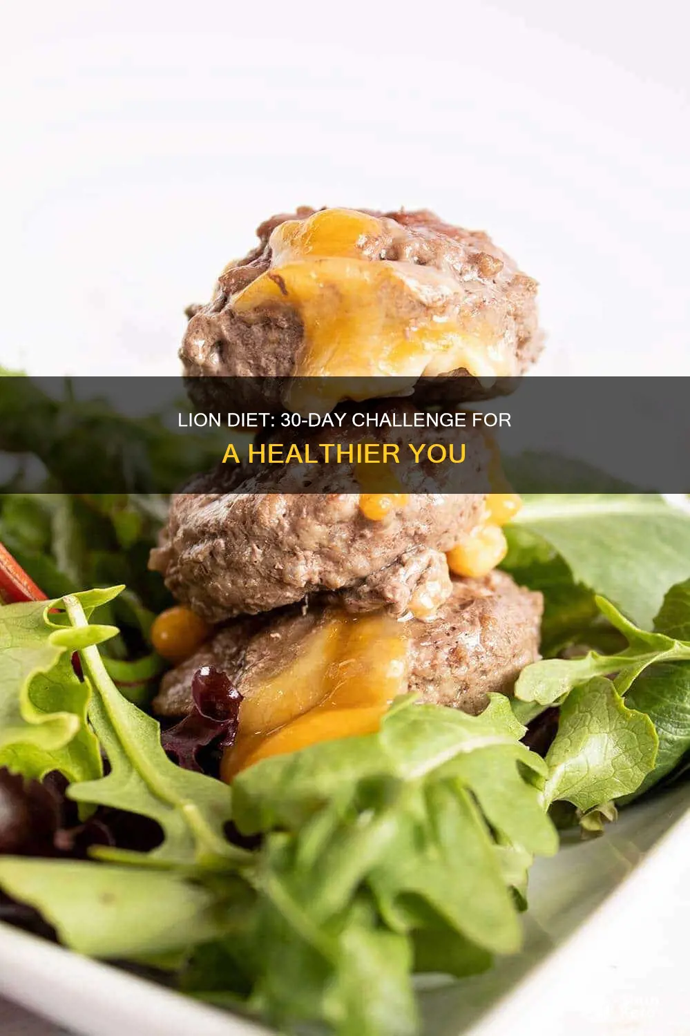 Lion Diet: 30-Day Challenge For A Healthier You | ShunKeto