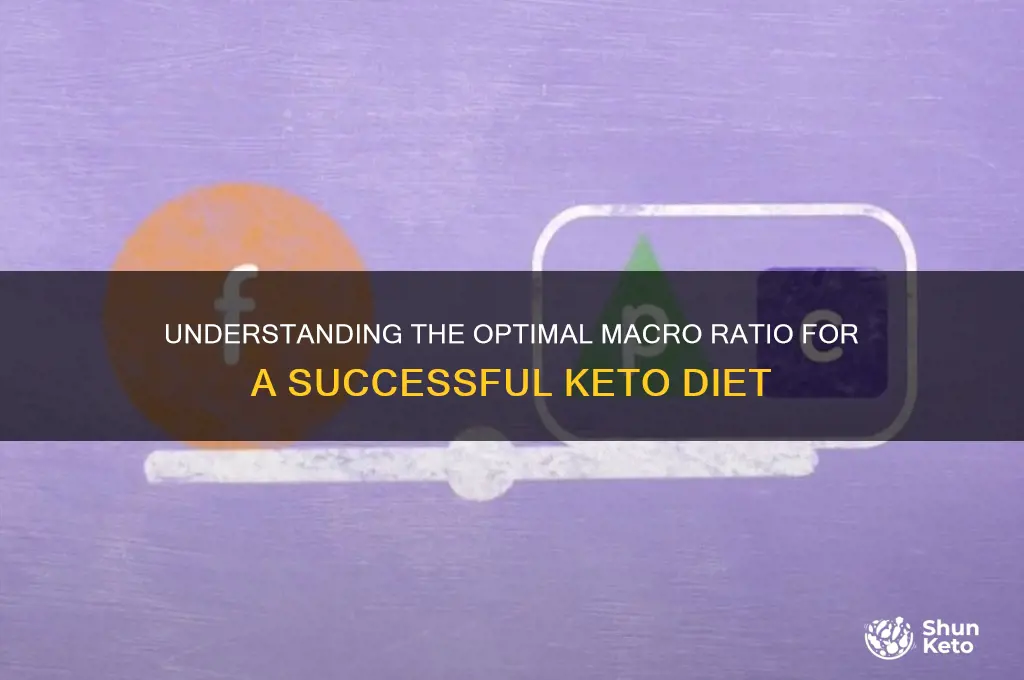 Understanding The Optimal Macro Ratio For A Successful Keto Diet | ShunKeto