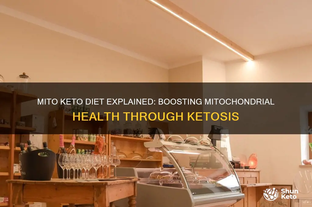 Mito Keto Diet Explained: Boosting Mitochondrial Health Through Ketosis ...