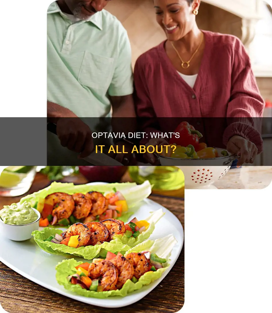 Optavia Diet: What's It All About? | ShunKeto
