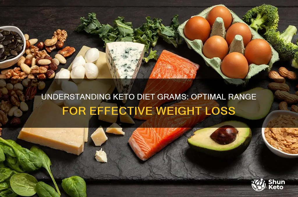 Understanding Keto Diet Grams: Optimal Range For Effective Weight Loss ...