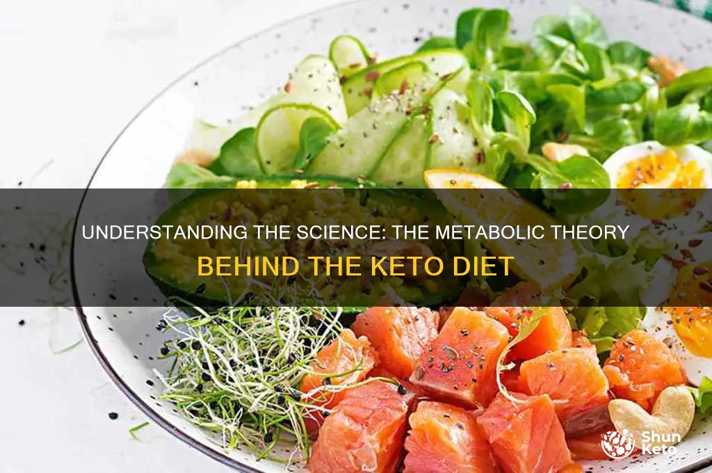 Understanding The Science: The Metabolic Theory Behind The Keto Diet ...