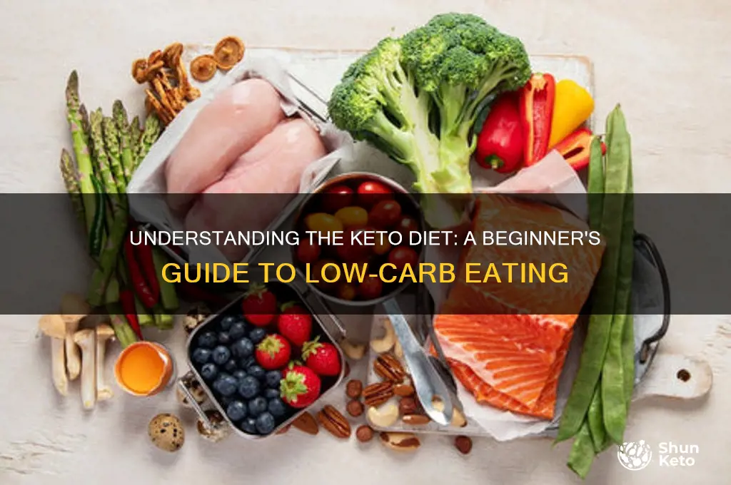 Understanding The Keto Diet: A Beginner's Guide To Low-Carb Eating ...