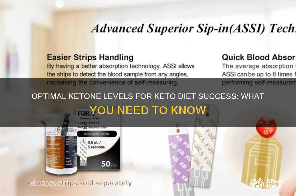 Optimal Ketone Levels For Keto Diet Success: What You Need To Know ...