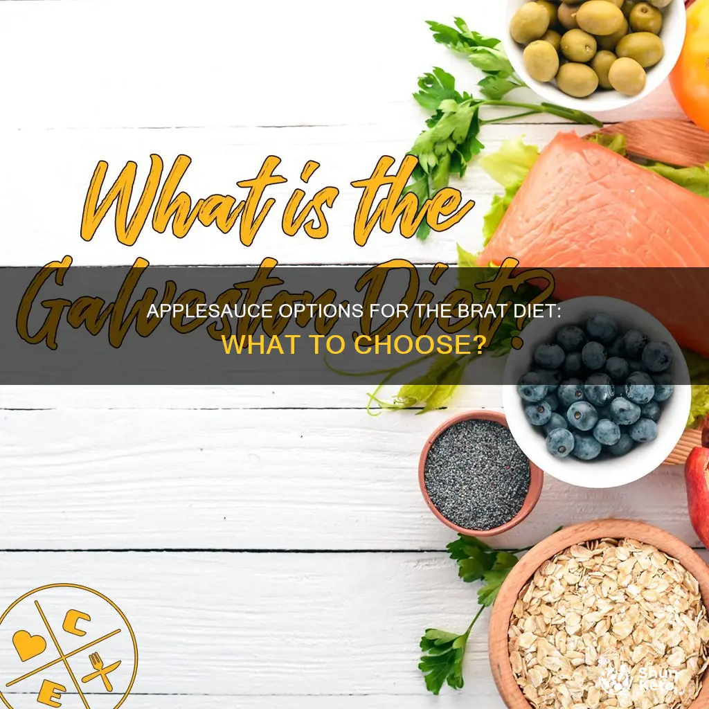 Applesauce Options For The Brat Diet: What To Choose? | ShunKeto