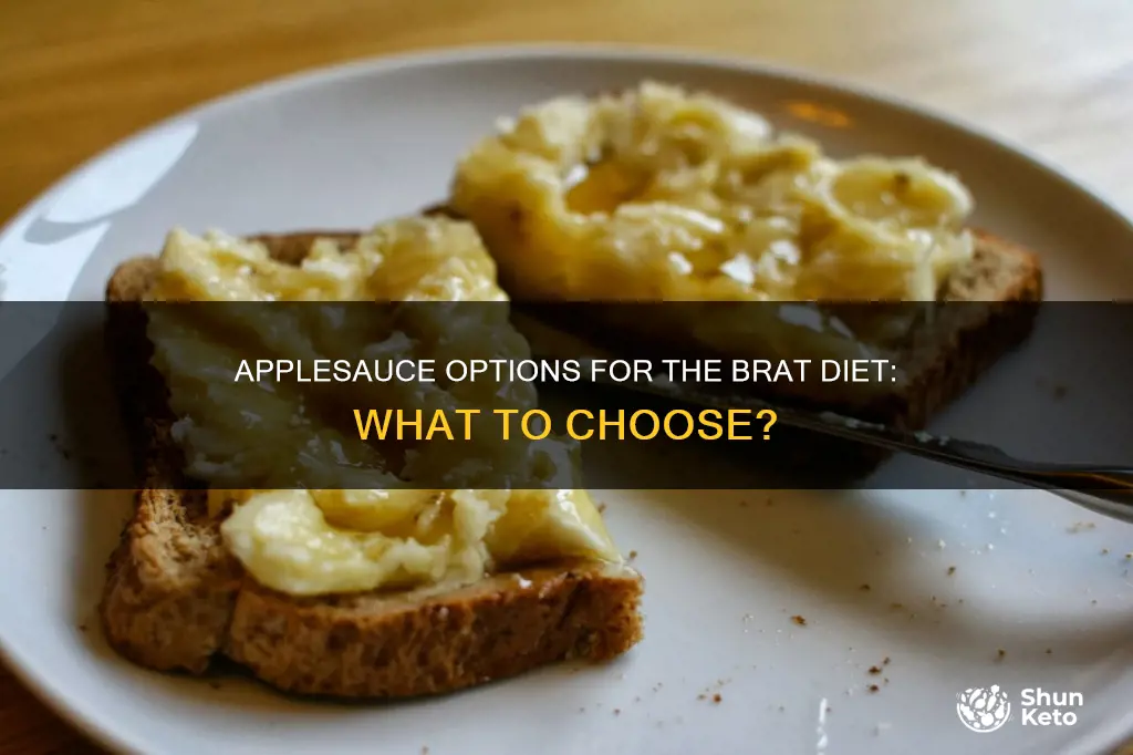Applesauce Options For The Brat Diet: What To Choose? | ShunKeto