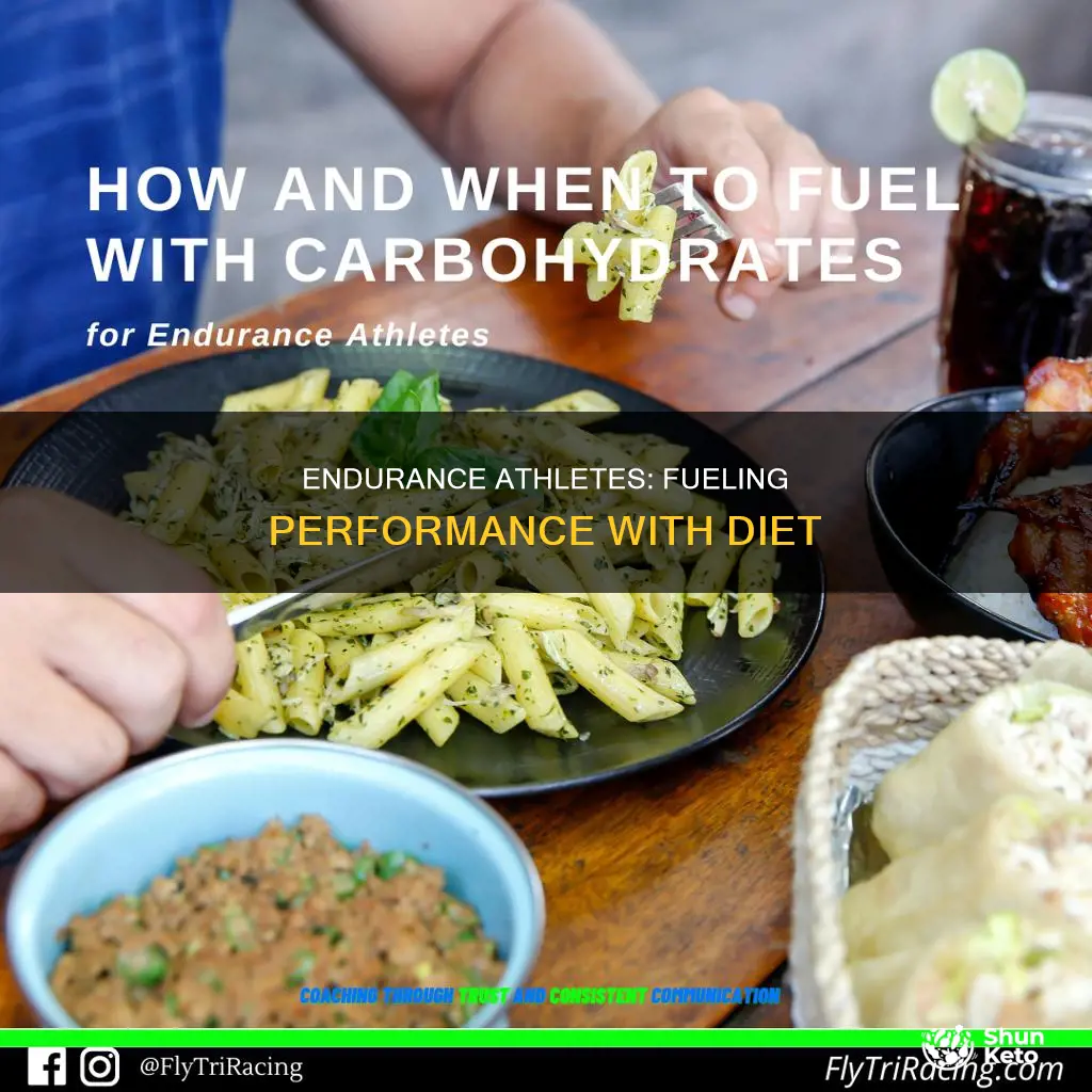 Endurance Athletes: Fueling Performance With Diet | ShunKeto