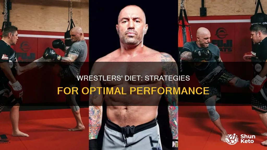 Wrestlers' Diet: Strategies For Optimal Performance | ShunKeto