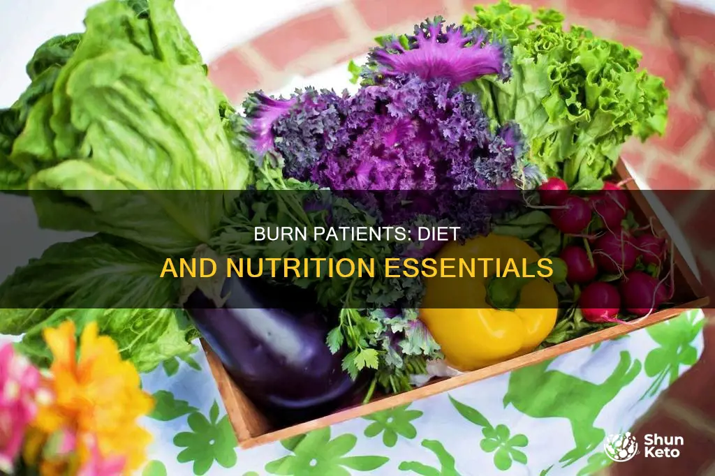 Burn Patients: Diet And Nutrition Essentials | ShunKeto