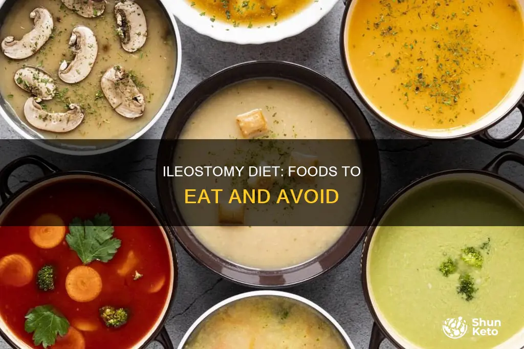 Ileostomy Diet: Foods To Eat And Avoid | ShunKeto