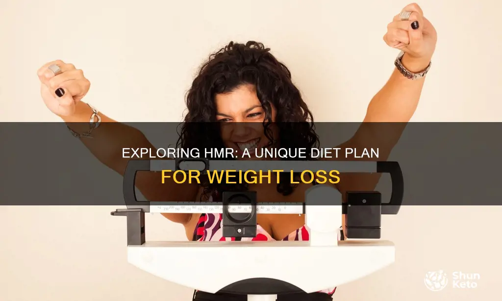 Exploring Hmr: A Unique Diet Plan For Weight Loss | ShunKeto