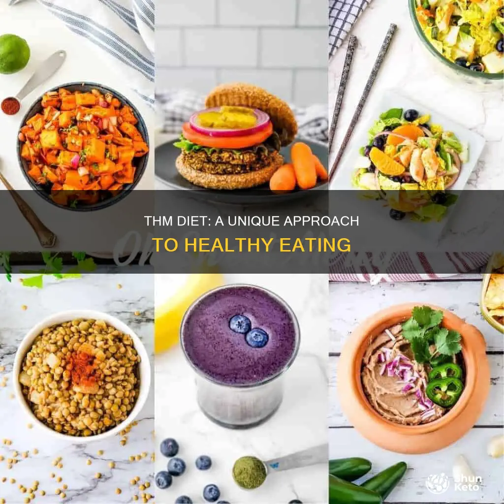 Thm Diet: A Unique Approach To Healthy Eating | ShunKeto