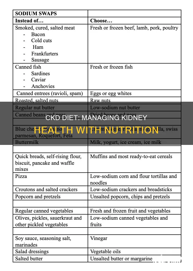 Ckd Diet: Managing Kidney Health With Nutrition | ShunKeto