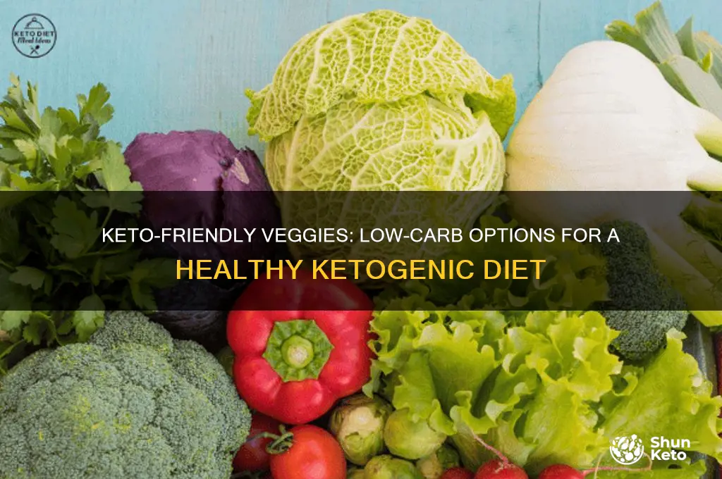 Keto-Friendly Veggies: Low-Carb Options For A Healthy Ketogenic Diet ...