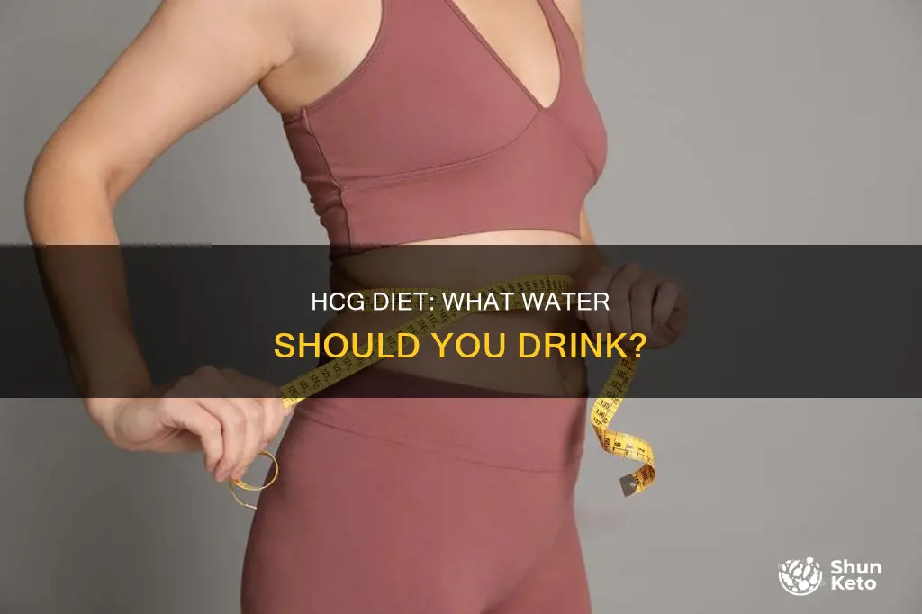 Hcg Diet: What Water Should You Drink? | ShunKeto