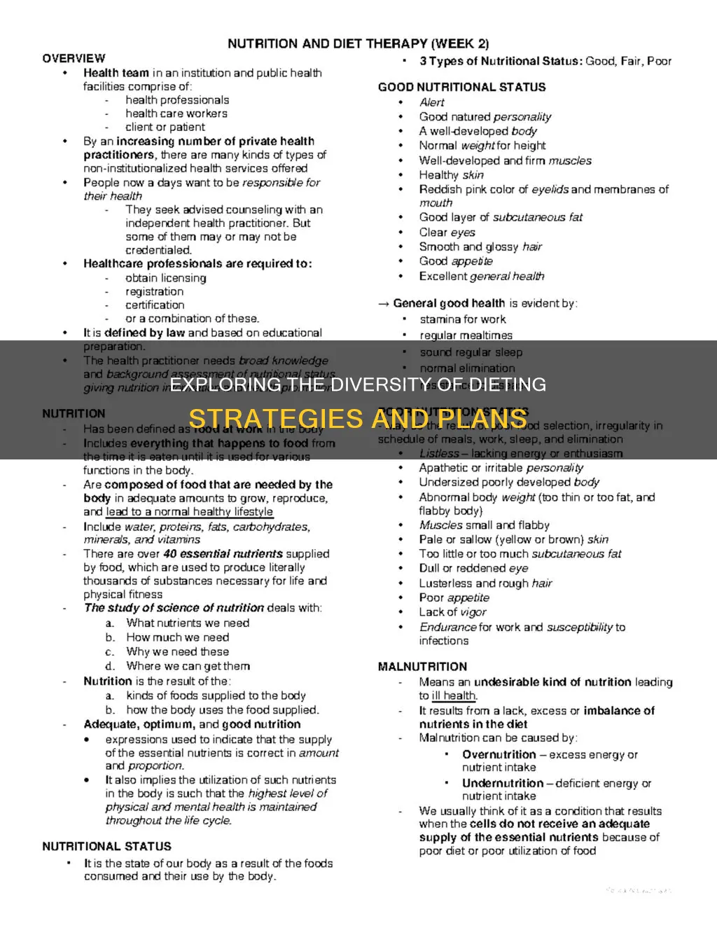 Exploring The Diversity Of Dieting Strategies And Plans | ShunKeto