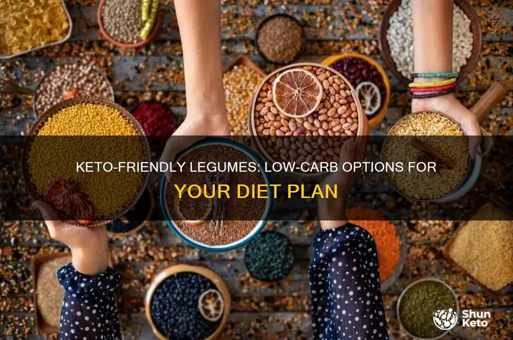 Keto-Friendly Legumes: Low-Carb Options For Your Diet Plan | ShunKeto