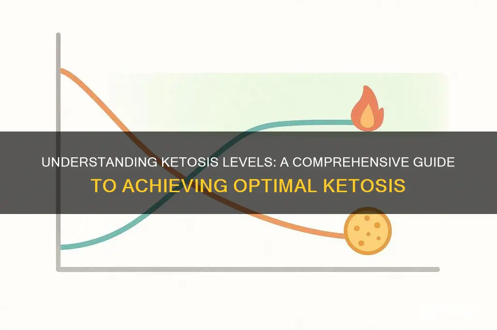 Understanding Ketosis Levels: A Comprehensive Guide To Achieving ...
