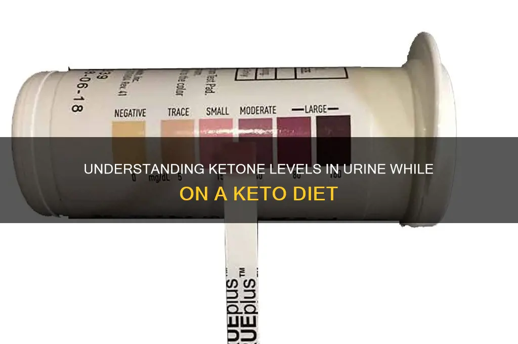 Understanding Ketone Levels In Urine While On A Keto Diet | ShunKeto