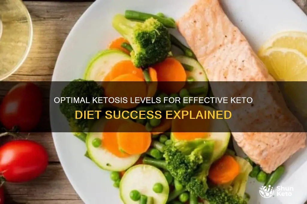 Optimal Ketosis Levels For Effective Keto Diet Success Explained | ShunKeto