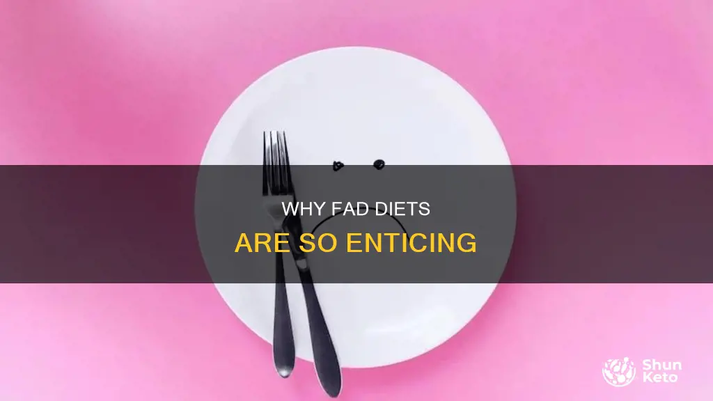 Why Fad Diets Are So Enticing | ShunKeto