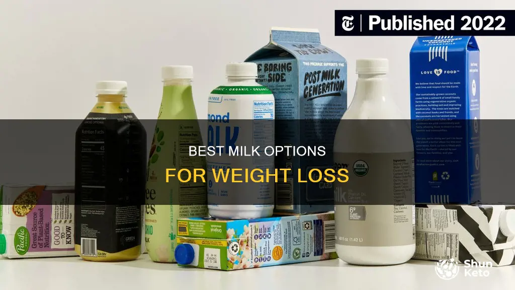 Best Milk Options For Weight Loss | ShunKeto