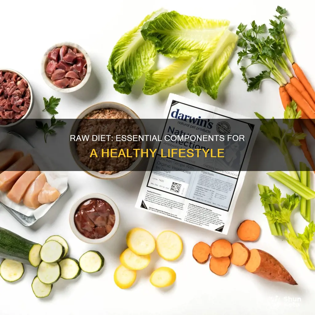 Raw Diet: Essential Components For A Healthy Lifestyle | ShunKeto