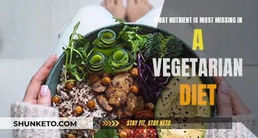 Vegetarianism Explained: Strict Diet Rules And Restrictions | ShunKeto