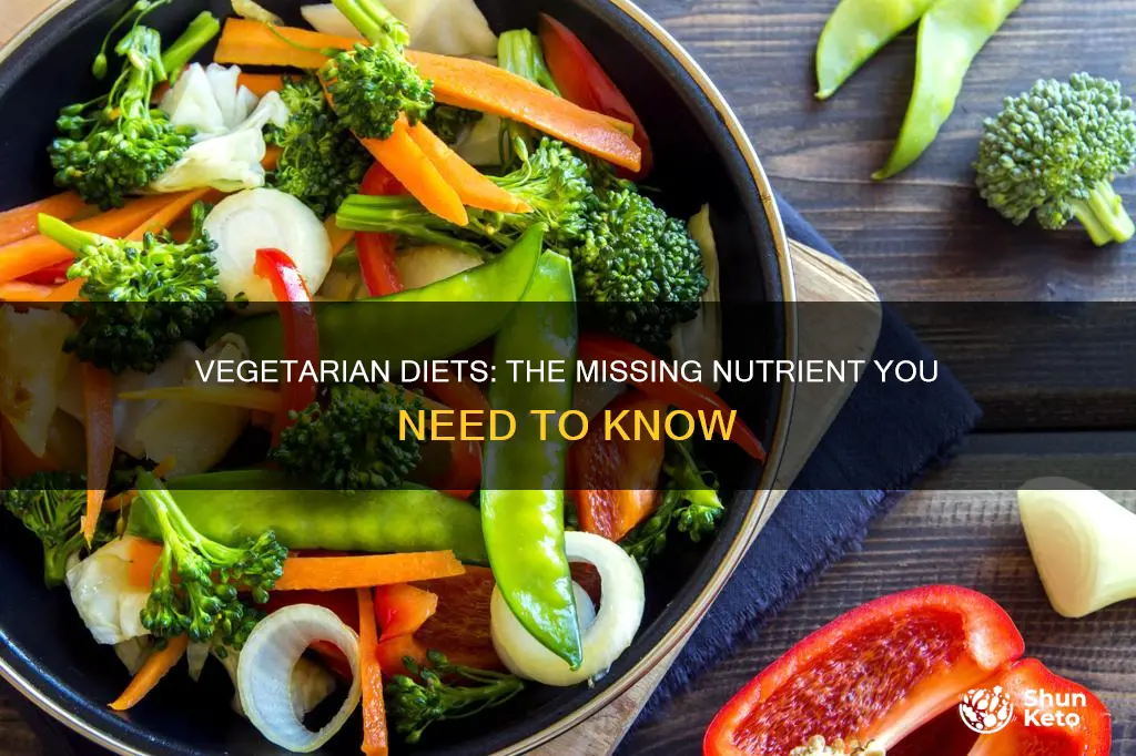 Vegetarian Diets: The Missing Nutrient You Need To Know | ShunKeto