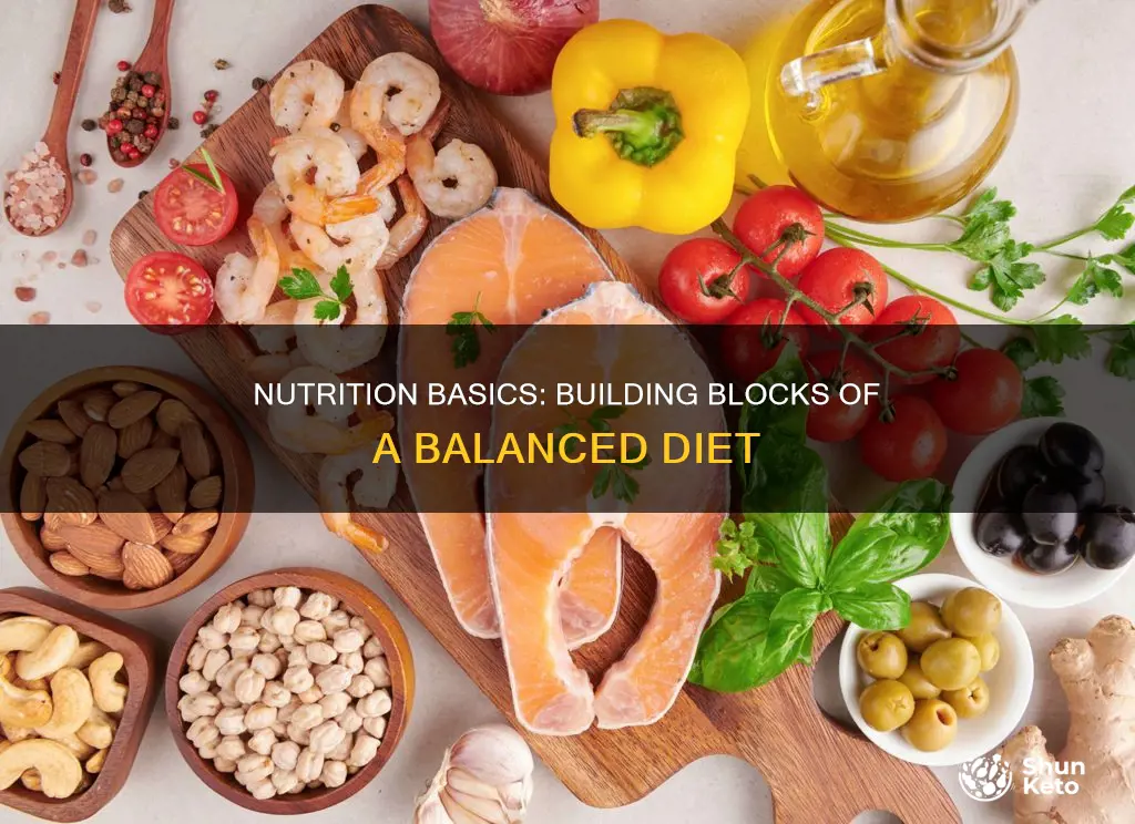 Nutrition Basics: Building Blocks Of A Balanced Diet | ShunKeto