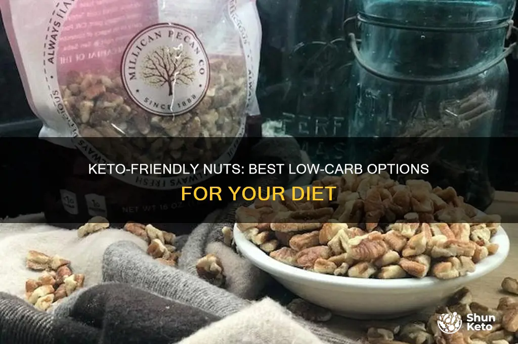 Keto-Friendly Nuts: Best Low-Carb Options For Your Diet | ShunKeto