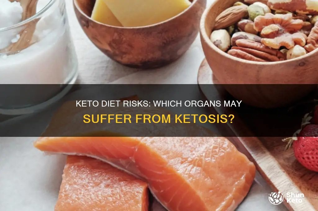 Keto Diet Risks: Which Organs May Suffer From Ketosis? | ShunKeto