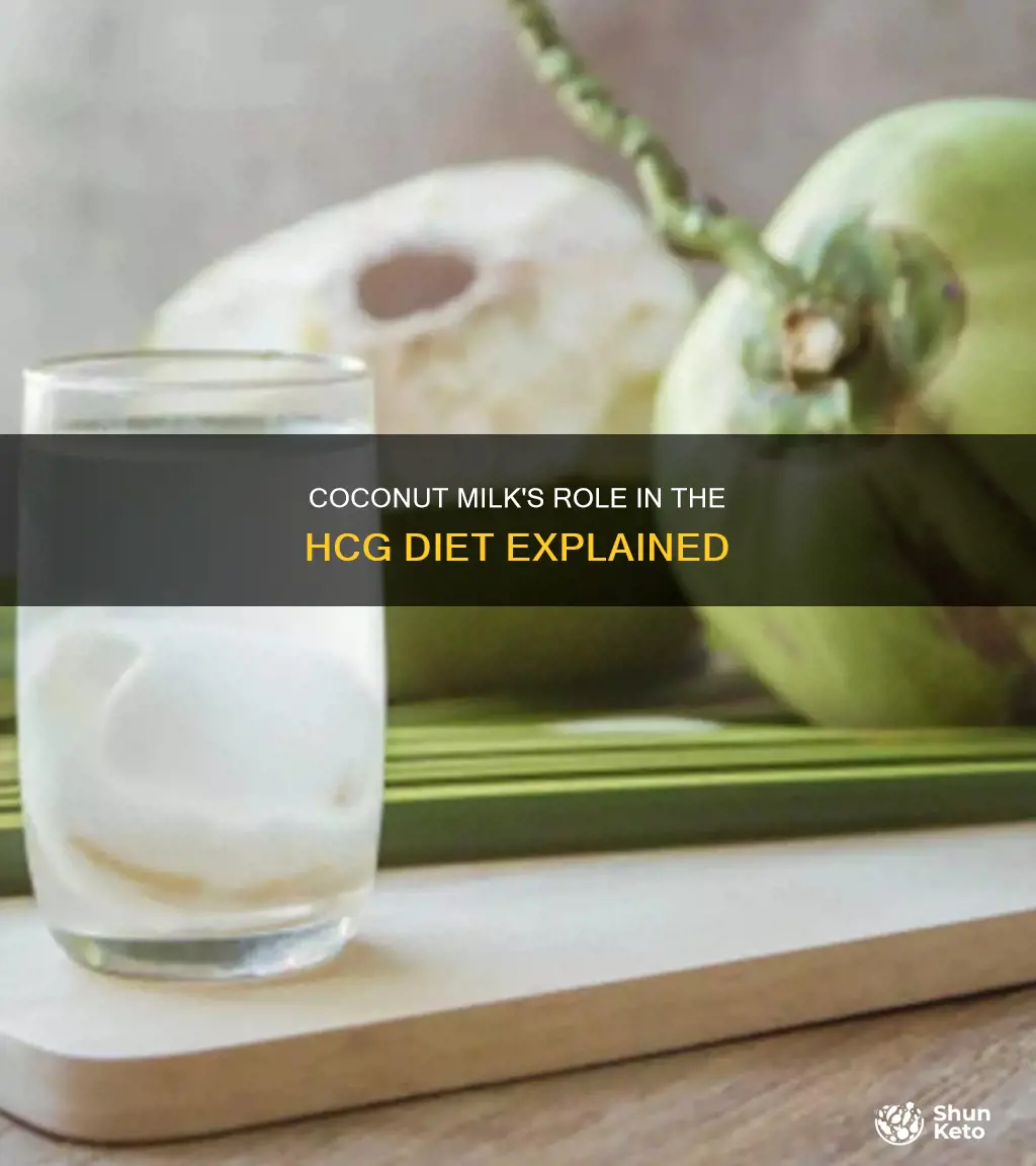 Coconut Milk's Role In The Hcg Diet Explained | ShunKeto