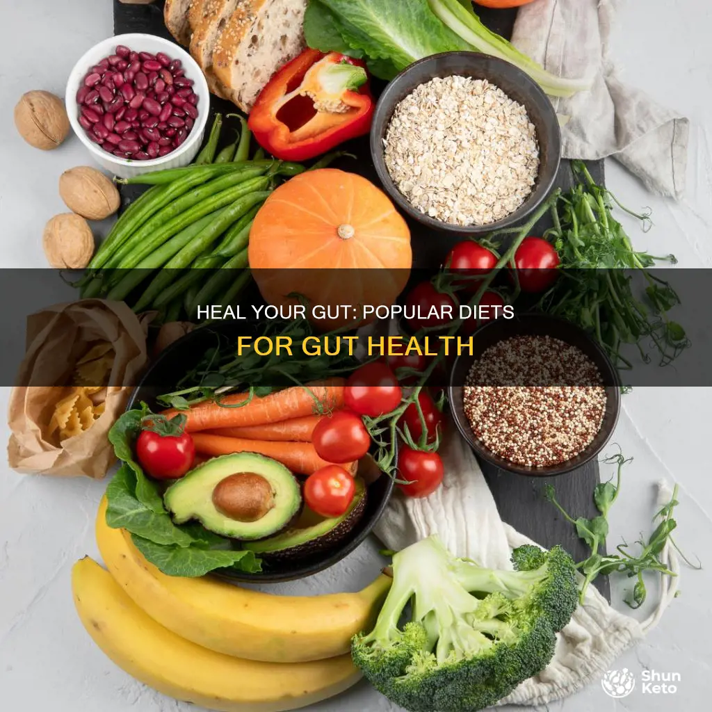 Heal Your Gut: Popular Diets For Gut Health | ShunKeto