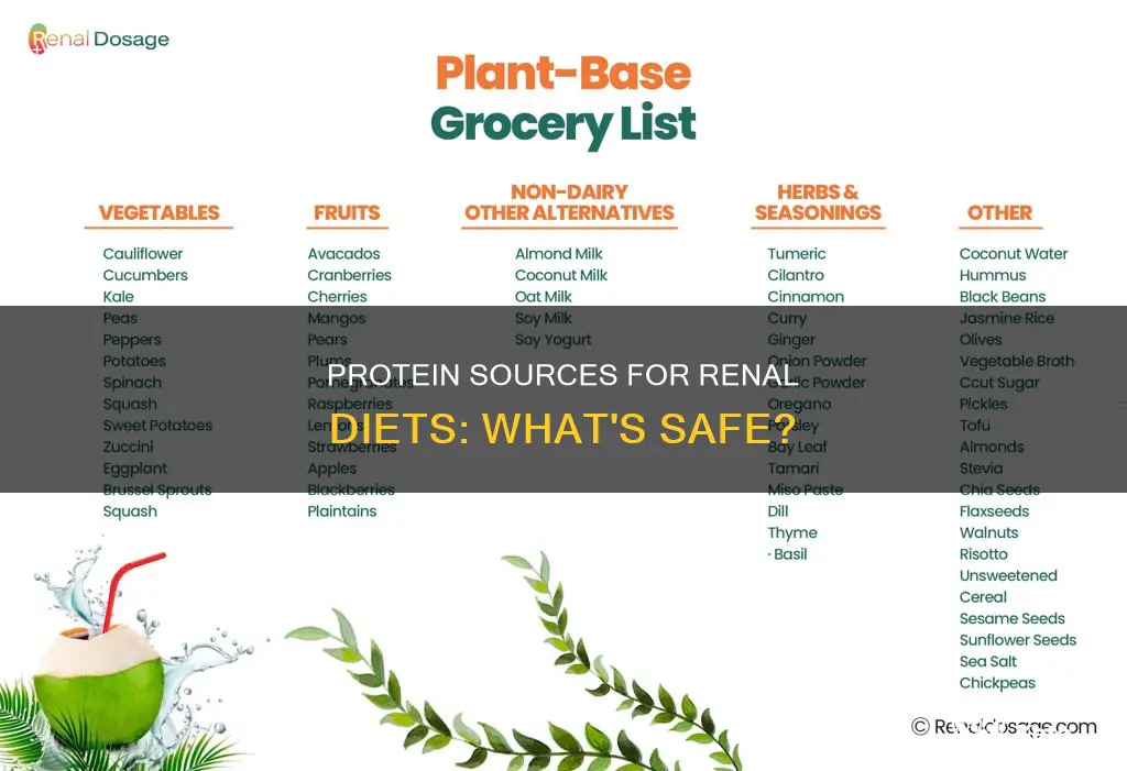 Protein Sources For Renal Diets: What's Safe? | ShunKeto